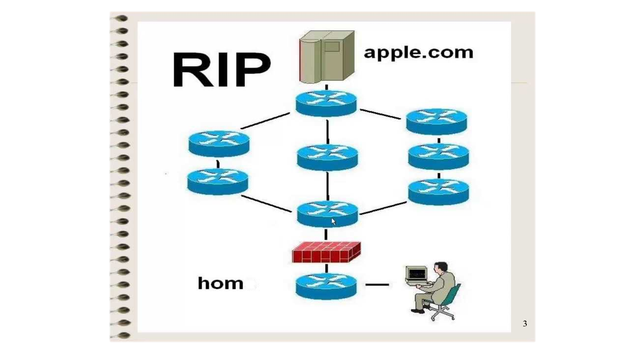 RIP DAN EIGRP PROTOCOL - No Lesson No Life