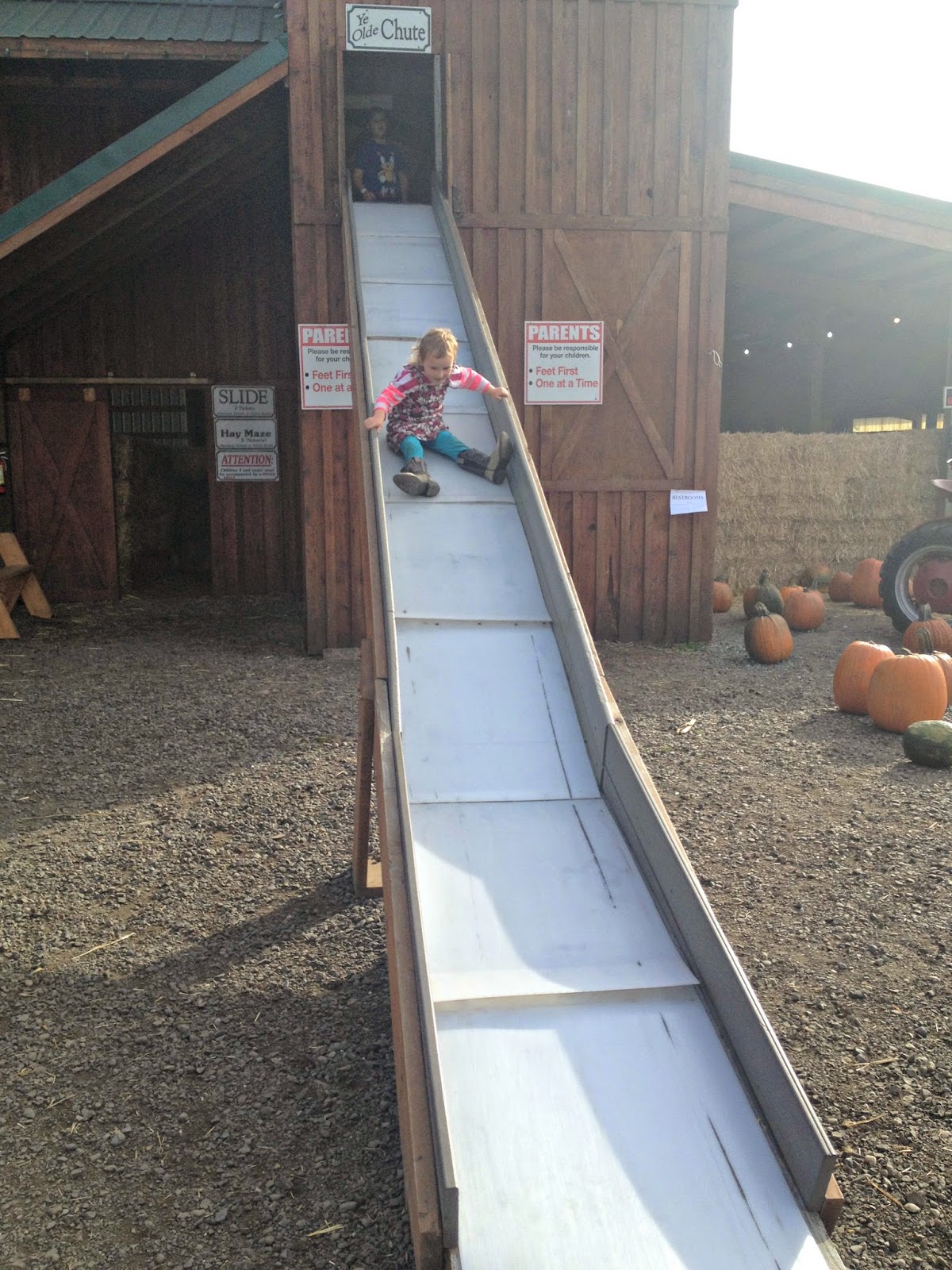 Our Annual Pumpkin Patch Visit