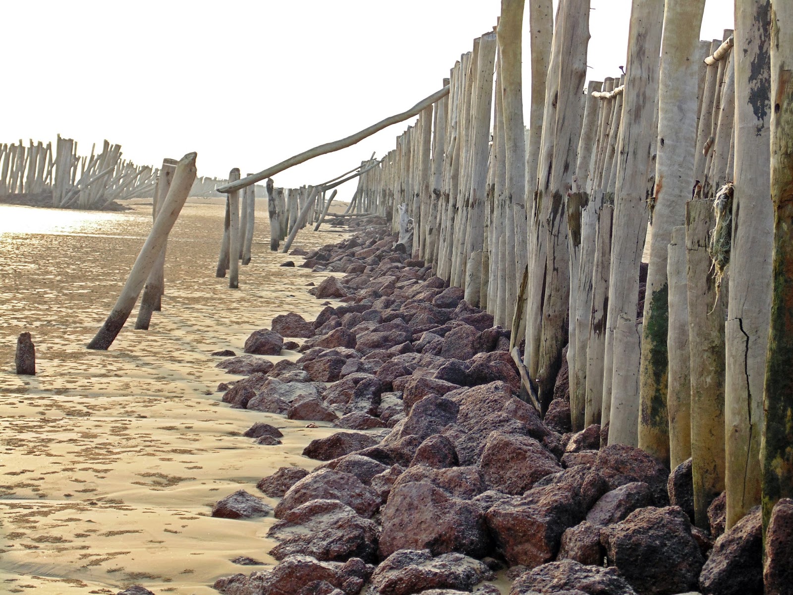 Local Photography: Shankarpur Sea Beach