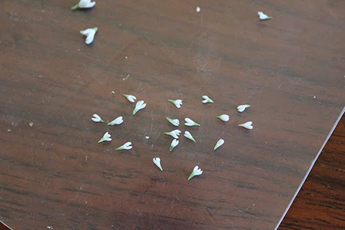 .: Refined flowers technique