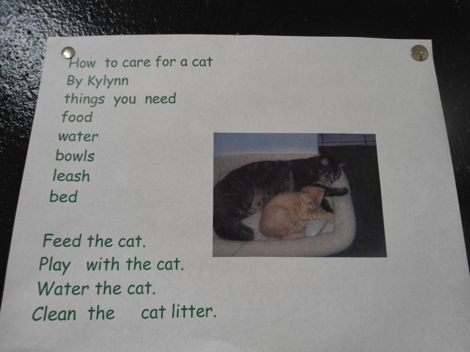 The Passionate Educator: a blog by Mrs. Obach: 2013