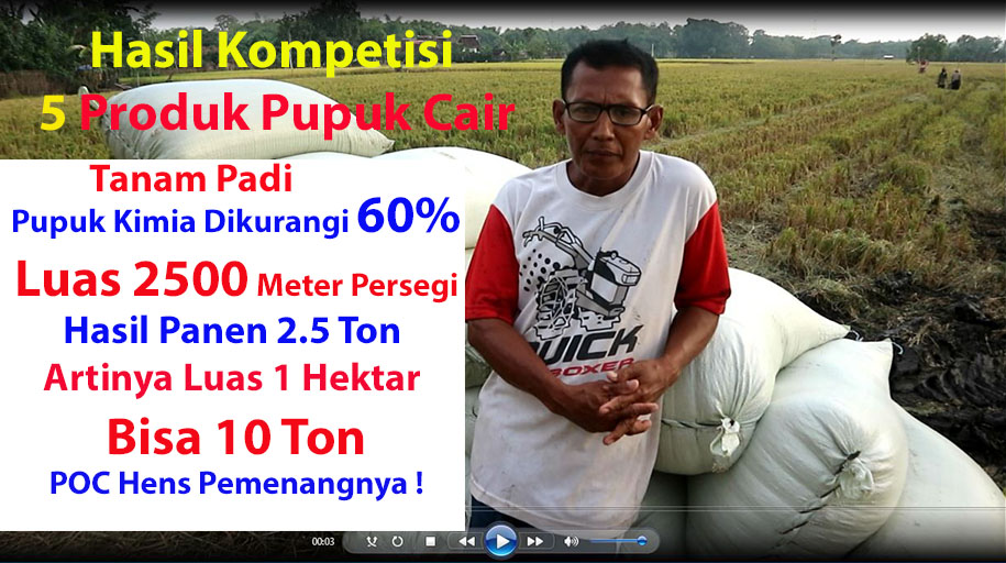 Dapat 10 Ton Per Hektar Tanam Padi Pupuk Kimia Dikurangi 60% ...