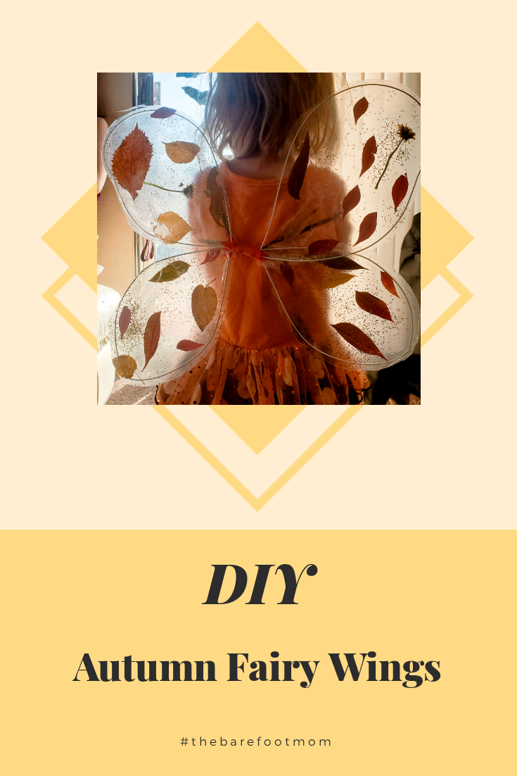DIY Autumn Fairy Wings