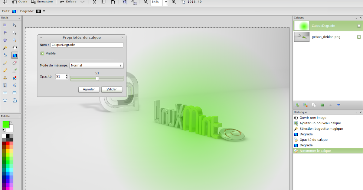 Pinta image editor tutorial - passlflorida