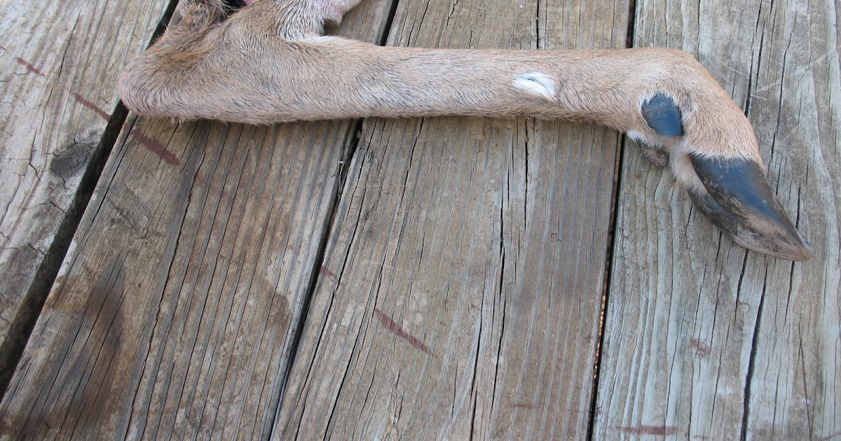 Sensible Survival: Preparing and Using Sinew