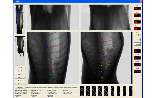 Fully Automated Meat Processing - Mechatronics Engineering