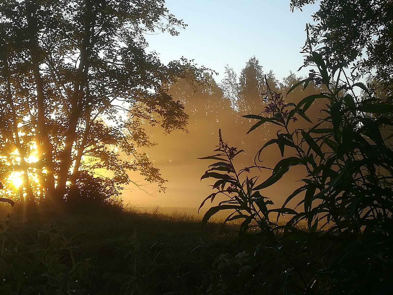 Liisan kuvat: Aurinko nousee