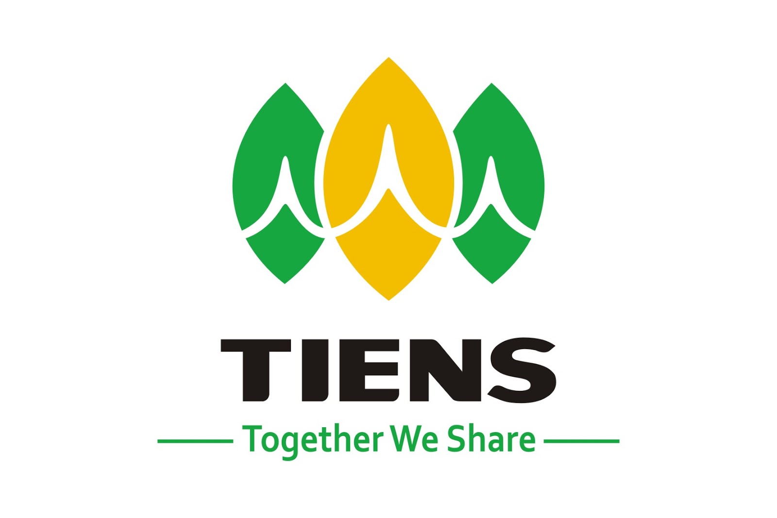 Tiens Logo