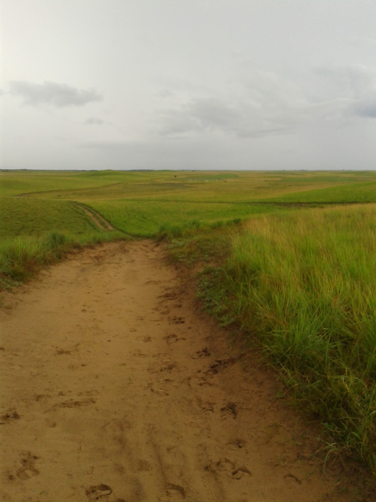 Los Medanos de Capanaparo - Elorza, Capital Folklorica de Venezuela