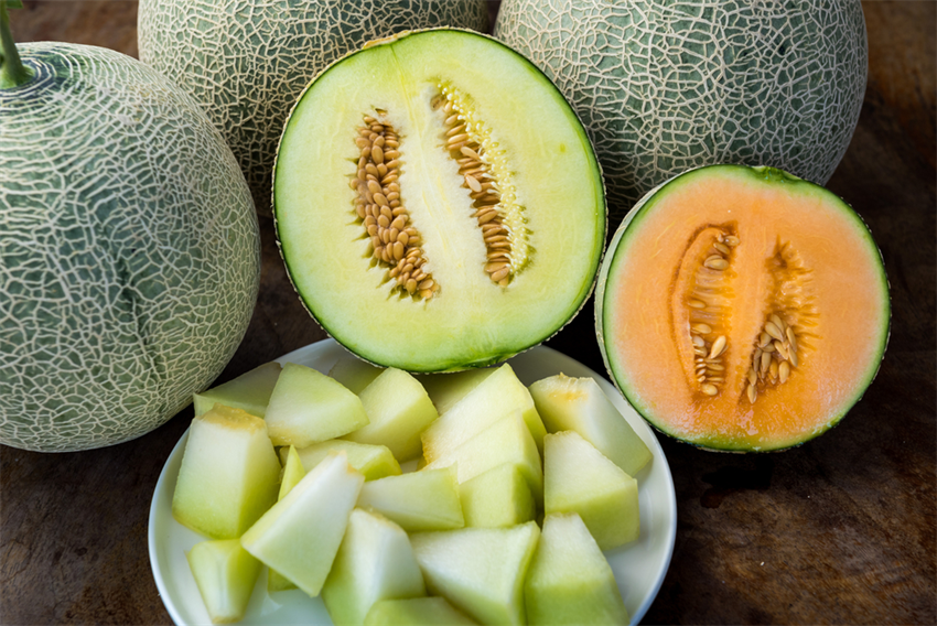 Melon Si Manja Yang Manis [Part.1] I Jenis-jenis Melon