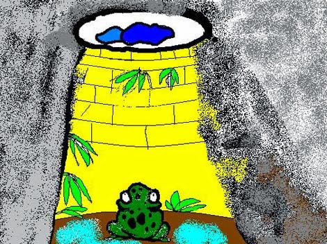Chinese Proverbs: Well Bottom Frog