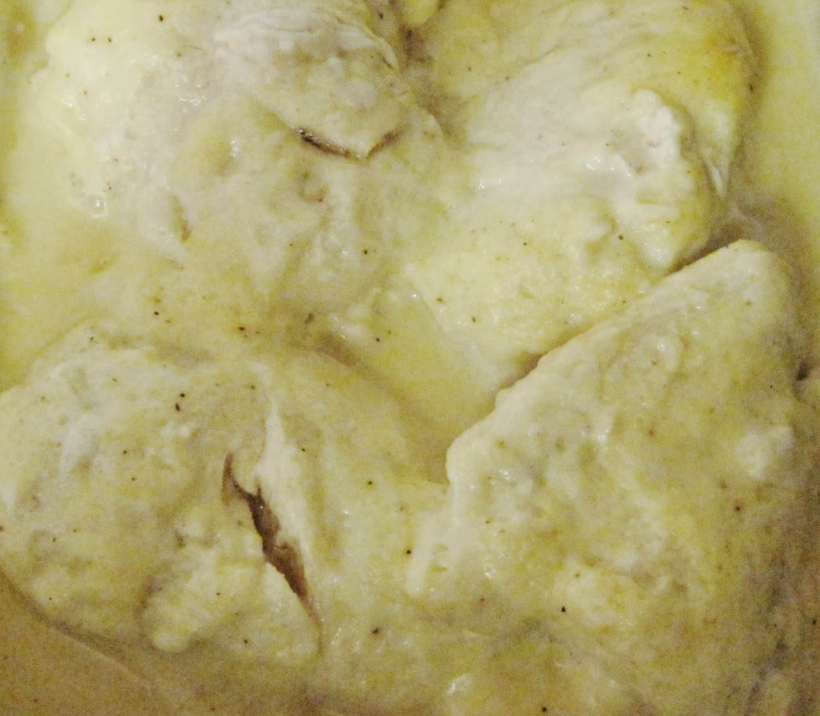 Stephanie Bagley: Weird Chicken