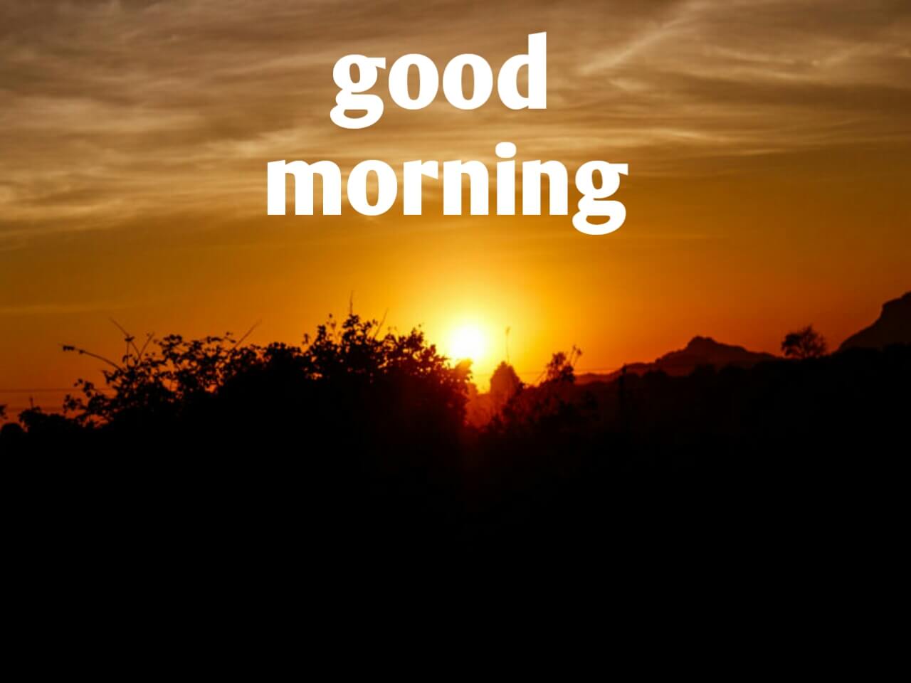 50+ good morning images download | free themes