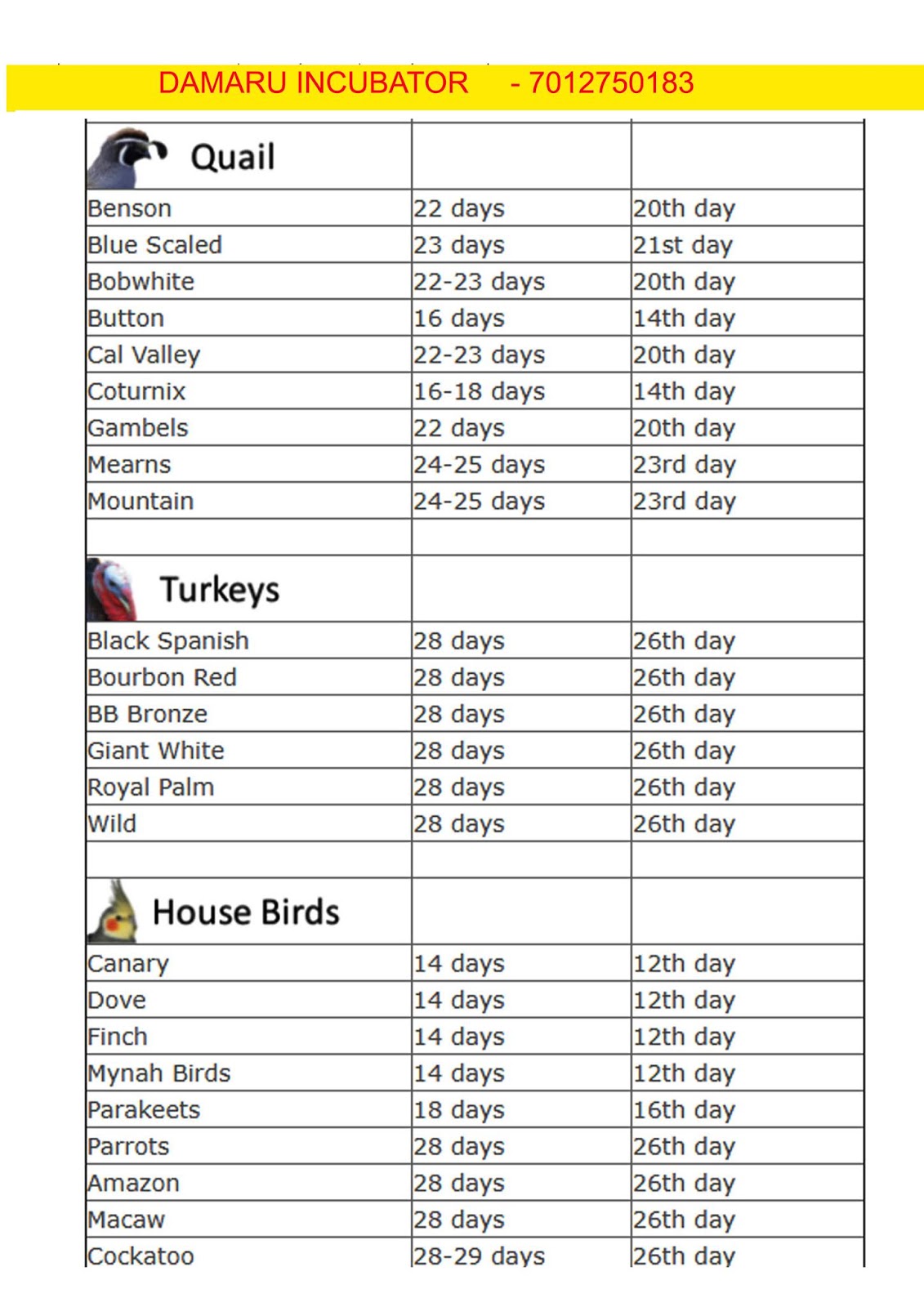 Chicken Egg Incubation Chart Calendar Set – Farm Fit, 59% OFF