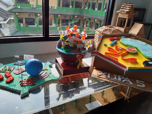 ALAT PERAGA SEL HEWAN DAN TUMBUHAN ( XI IPA 3, 4 DAN 5)