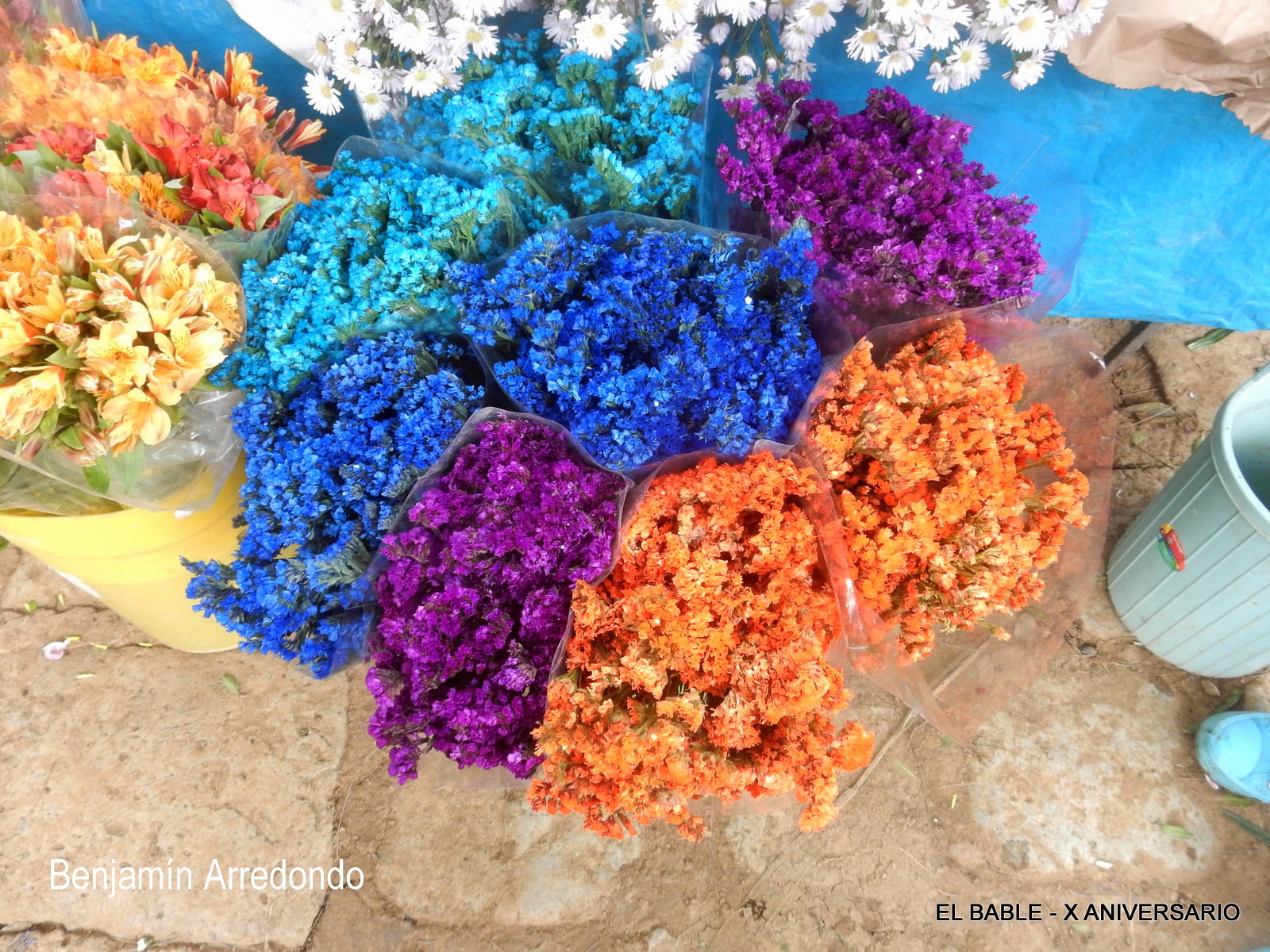 El Bable: De Oaxaca y sus flores