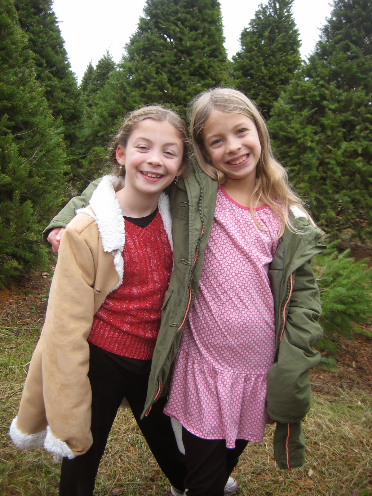 A Pew All Our Own: Christmas Tree Dash