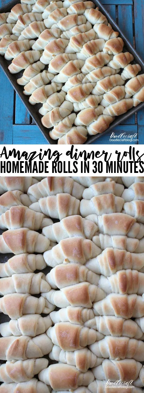 Fresh Baked Rolls from Scratch in 30 Minutes Recipe!