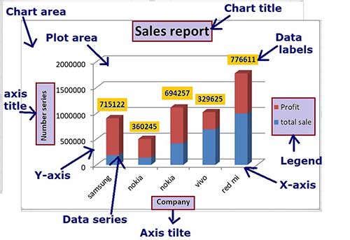 What Is Chart In Excel In Hindi. एक्सेल में चार्ट क्या है? - Newexcelworld