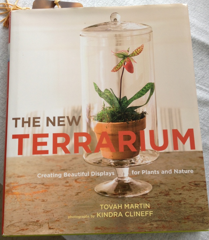 Houseplant Guru: Little Worlds Under Glass