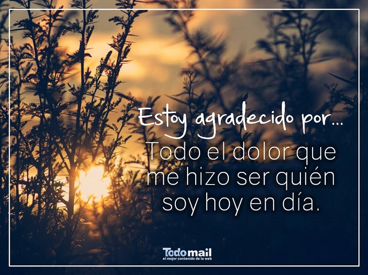 Una Luz en el Camino: Estoy agradecido por... 14