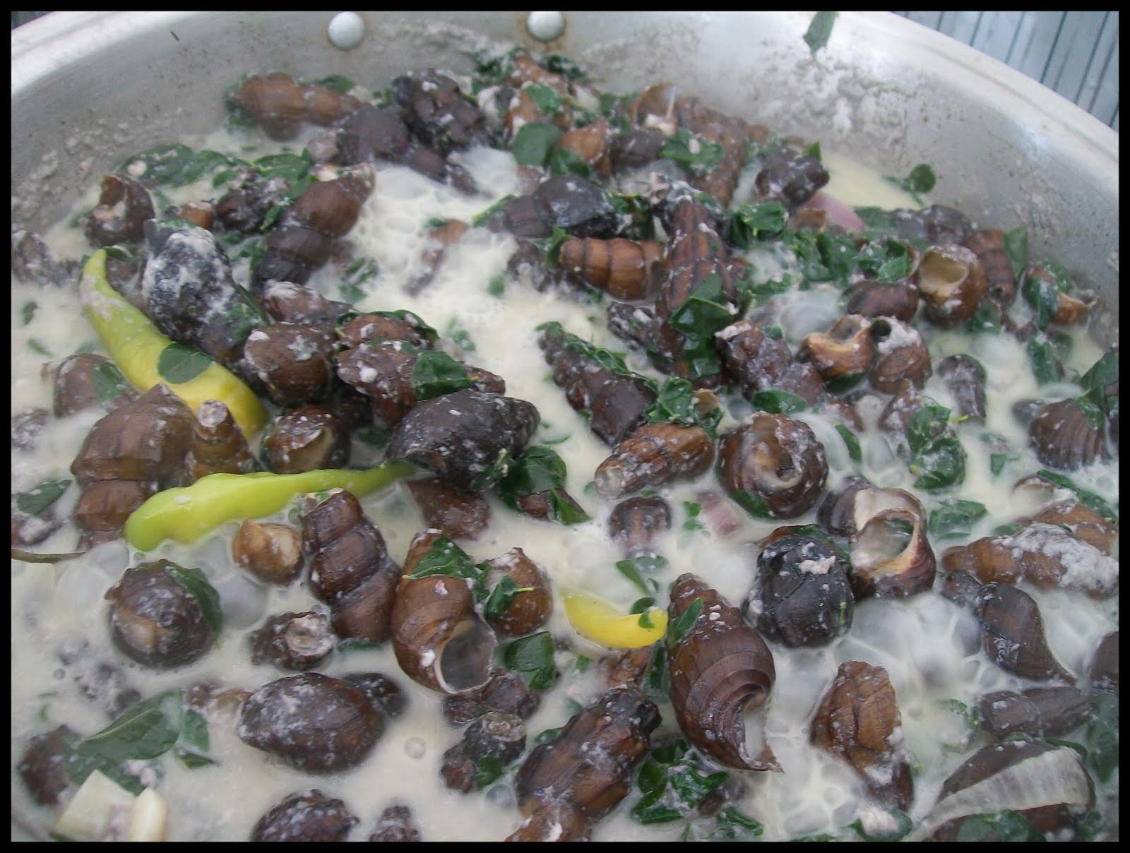 JoyDiary: Exotic food: Snail