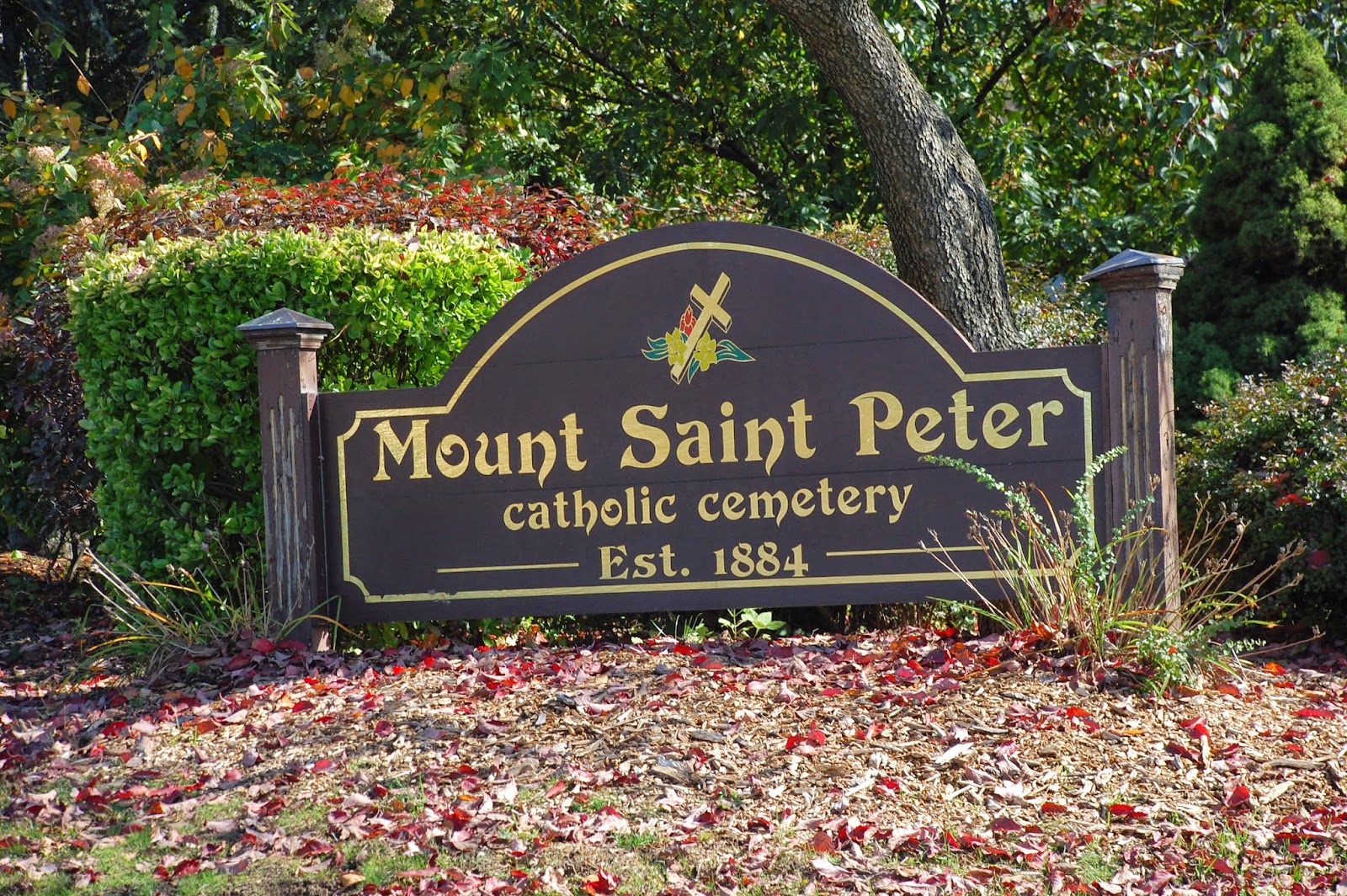 Leaves & Branches: CT Research Trip: Mt St Peter Cemetery