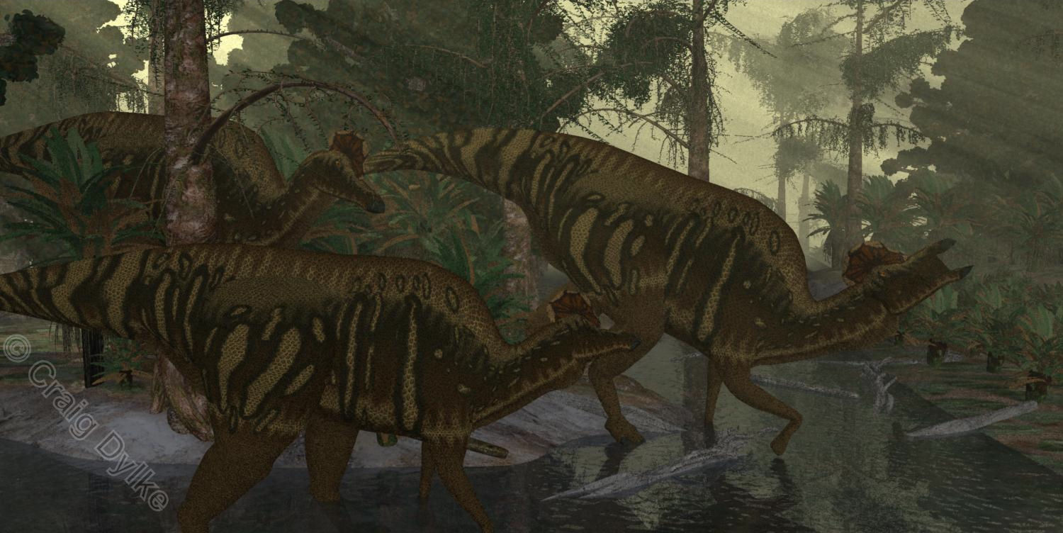 ART Evolved: Life's Time Capsule: The Hadrosaur Gallery