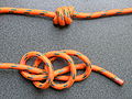 Korey in Wonderland: More than just knots! The talking Knots of the Incas.