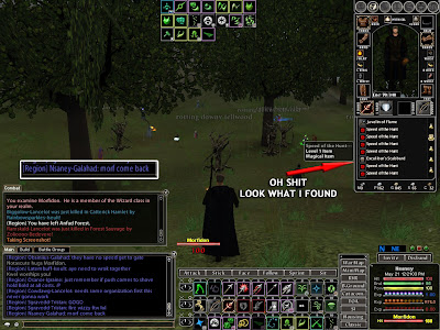 Nsaney's Psychobabble: Dark Age of Camelot: My first and only relic touch