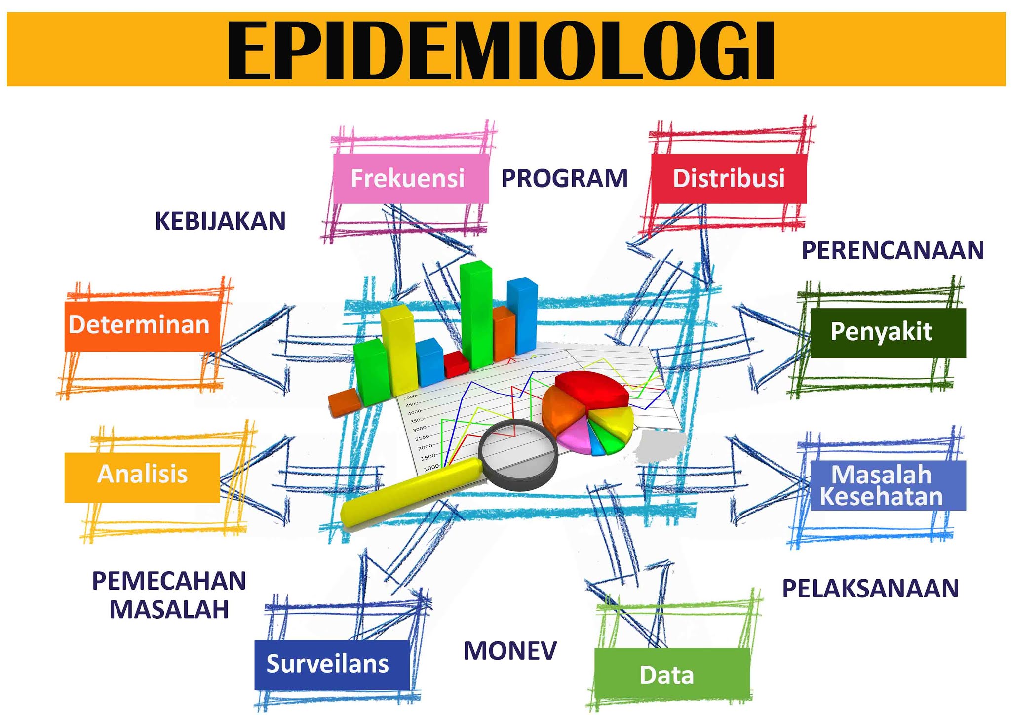 MENGENAL CABANG ILMU EPIDEMIOLOGI - EPIDEMIOLOG MUDA
