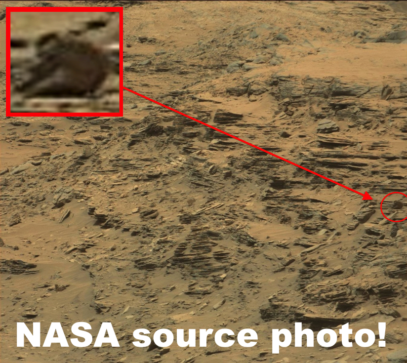 Monkey Found On Mars In NASA Photo! Is The Rover Even On Mars? WTH? UFO ...