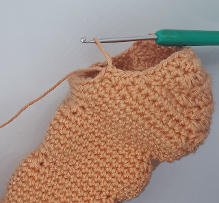 Adventures into Anatomical Crochet: Large intestine