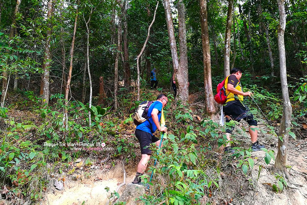 3in1 Day Hike // Bukit Broga + Gunung Tok Wan + Puncak 18 士毛月连攻三峰【茅草山+笃 ...