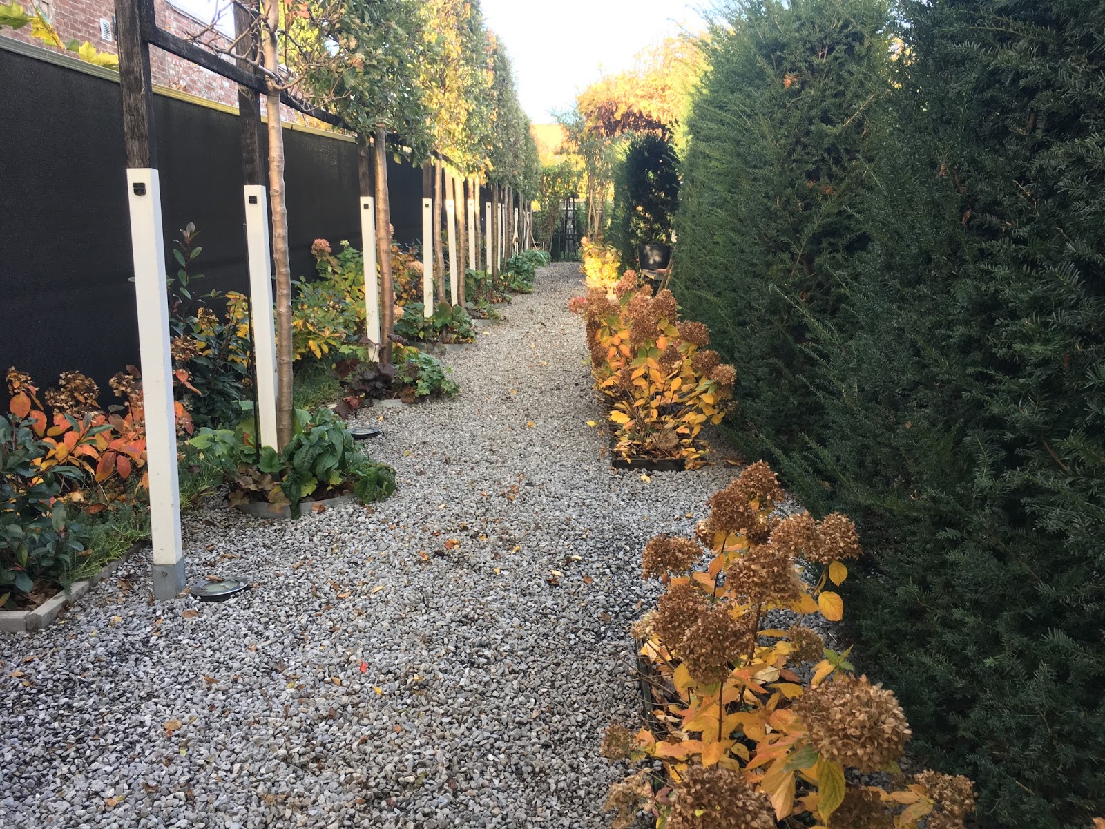 Potagerie in Maastricht: 17.11.2017 > Autumn........