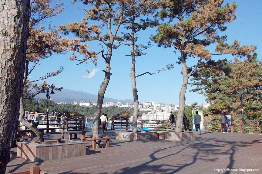 travel tales: South Korea: Jeju: Saeyeon-gyo