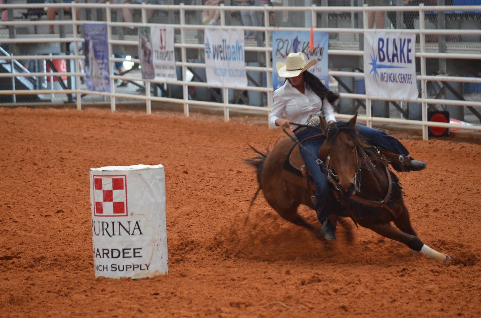 the other paper: Arcadia Rodeo Championships In Motion (Photography)
