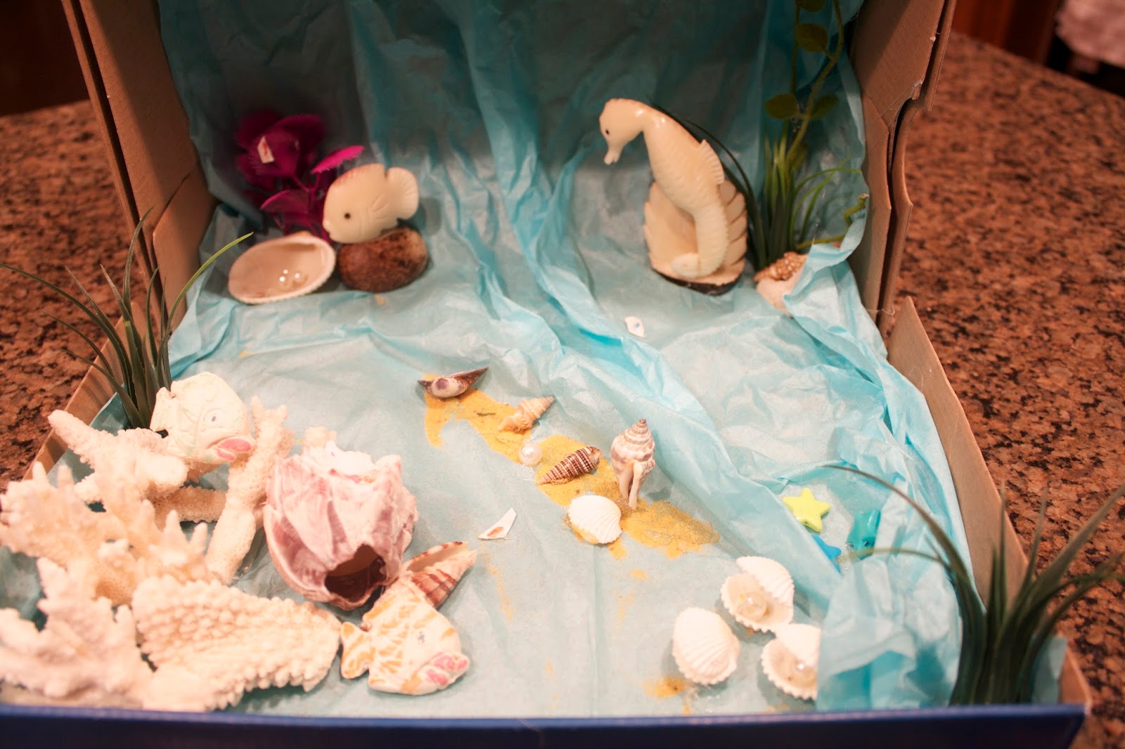 Creative, Cozy, and Comfortable: ecosystem project