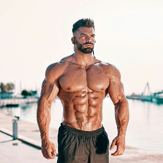 Muscle, Muscle, Muscle: Muscle