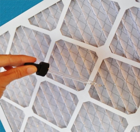 DIY Scented Air Filter | Homemade to Healthy