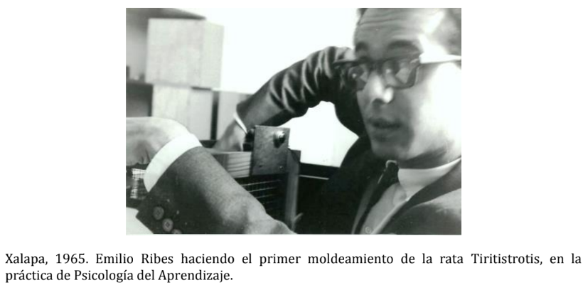 Liceo Contextual: 2020