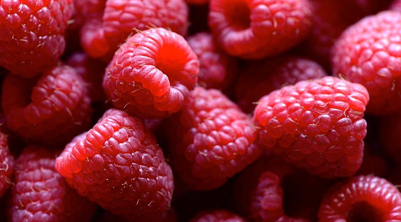 Potensi Pemanfaatan Flavonoid untuk Makhluk Hidup - E-Chemistry