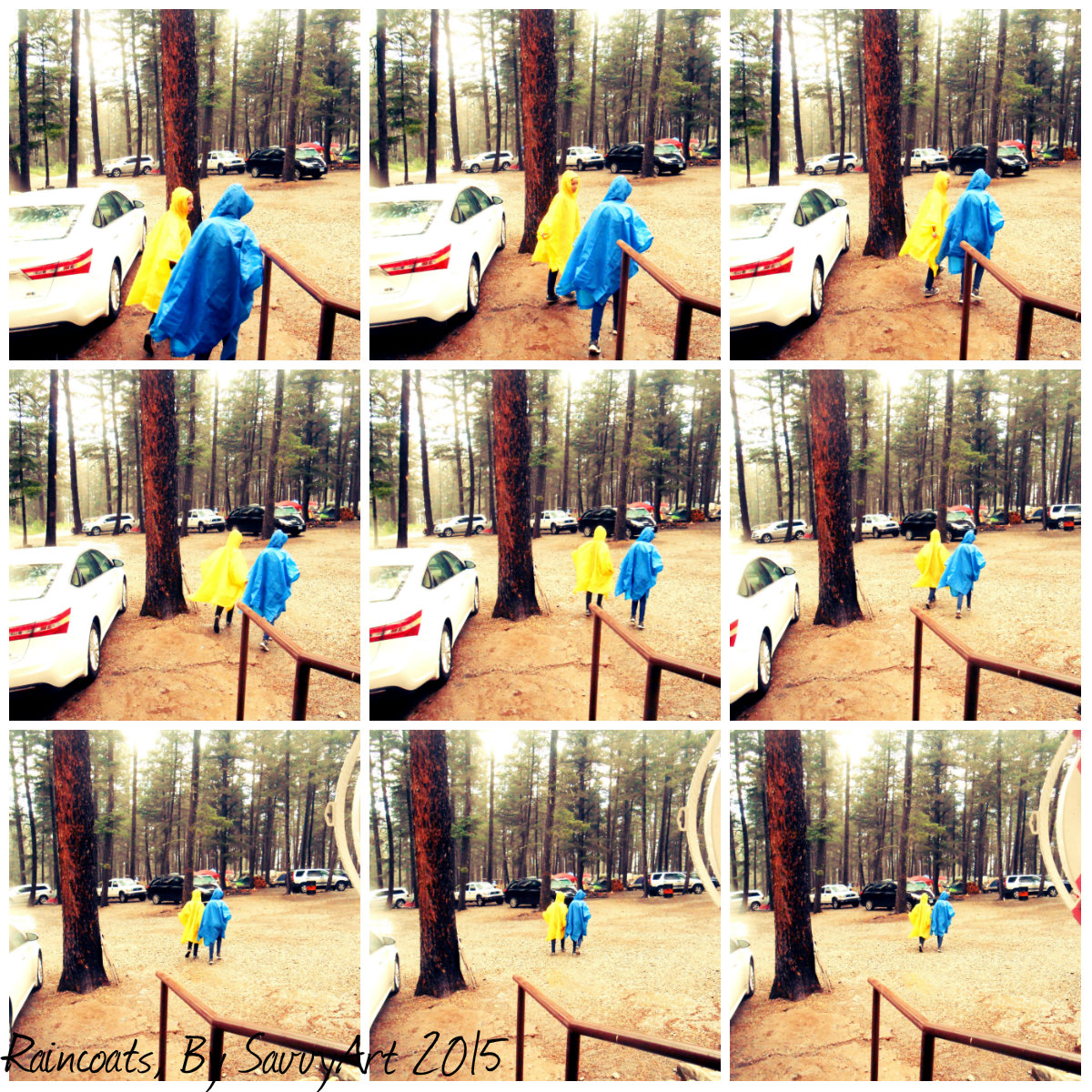 Savvy Art: Photography-Continuous Collage