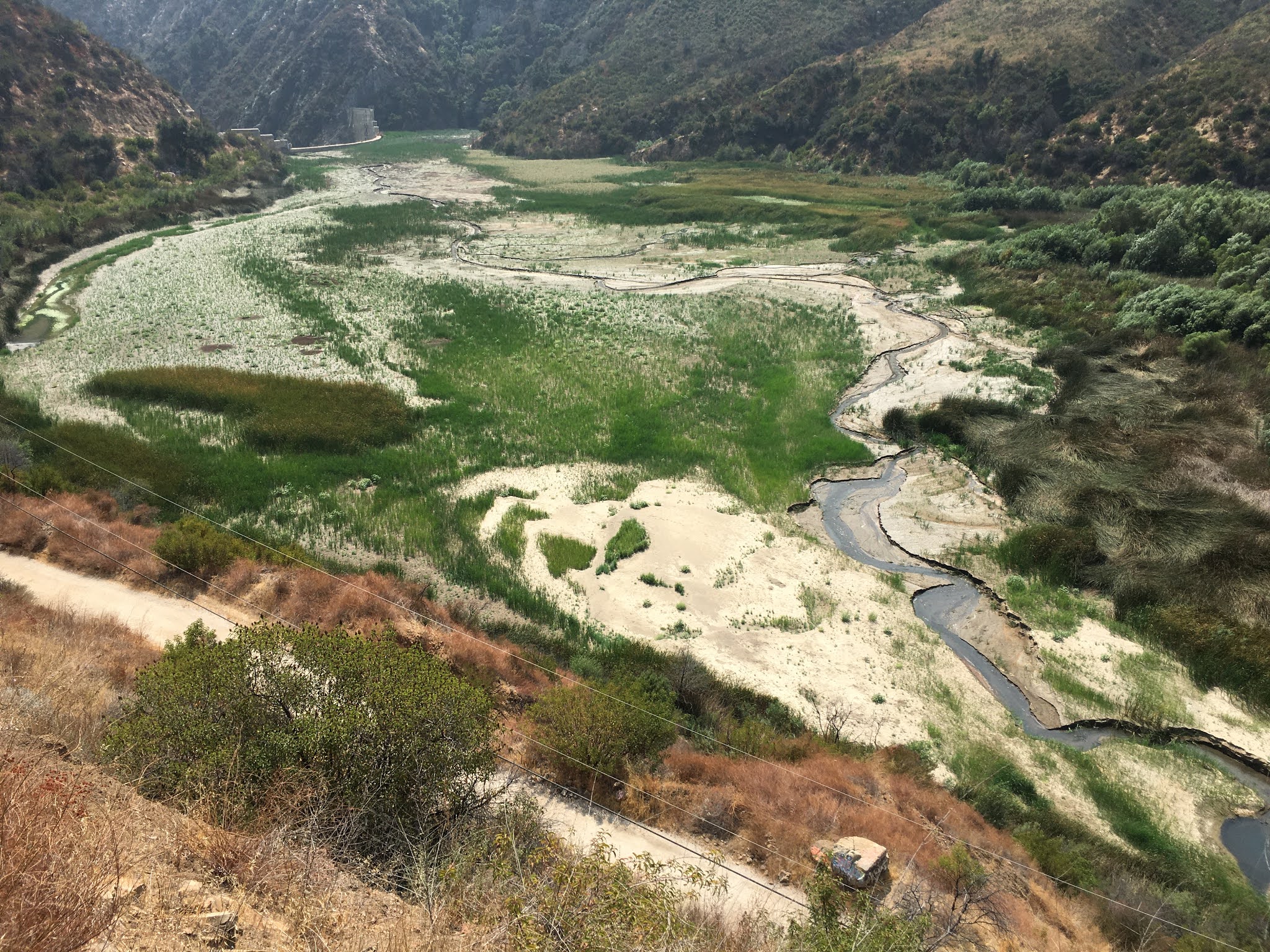 Ventura River Ecosystem: Matilija Reservoir Drained