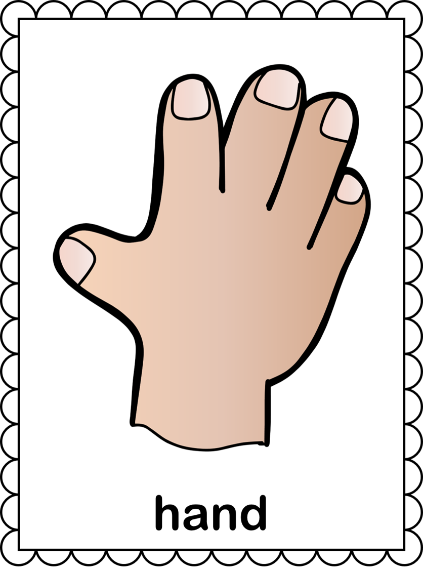 ESL/EFL Preschool Teachers: Body Unit Small Cards for English Language ...