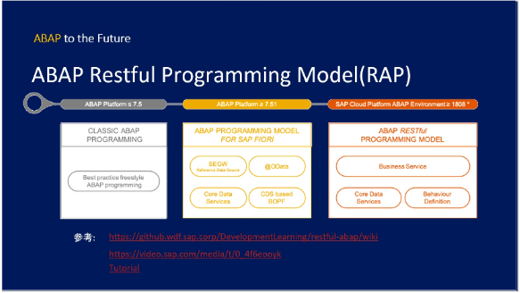 Do you know ABAP as a Programing Language?