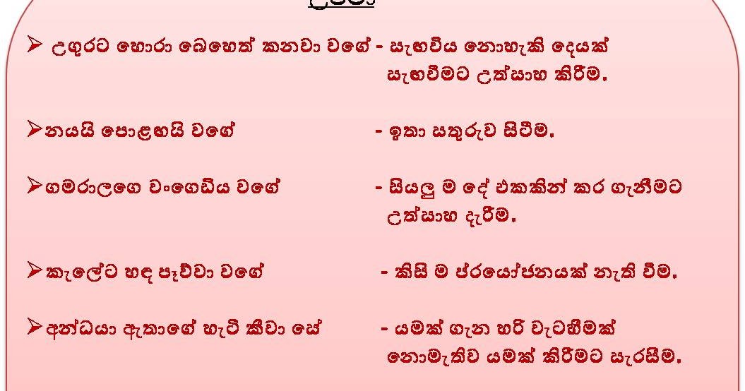 පුංචි ඔබට දැනුම වඩන ප්‍රාථමික අධ්‍යාපන මෙවලම්