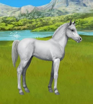 [FT] Spoiler Zone! - page 38 - Howrse