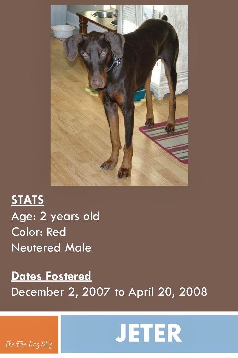 The Five Dog Blog: Living Life Simply Messy: Throwback Thursday: Jeter