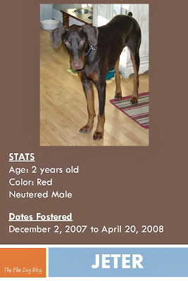 The Five Dog Blog: Living Life Simply Messy: Throwback Thursday: Jeter